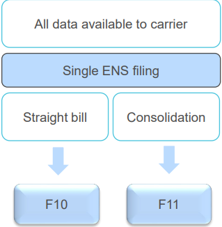 ICS2 - Maritime sector