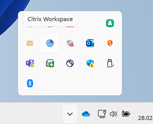 Log off Citrix connection