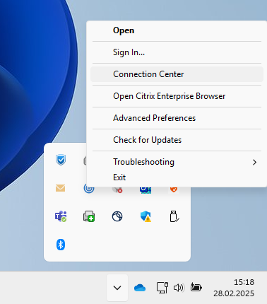 Log off Citrix connection